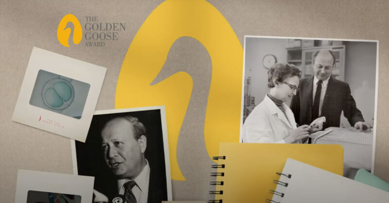 Content – MSU Research Foundation